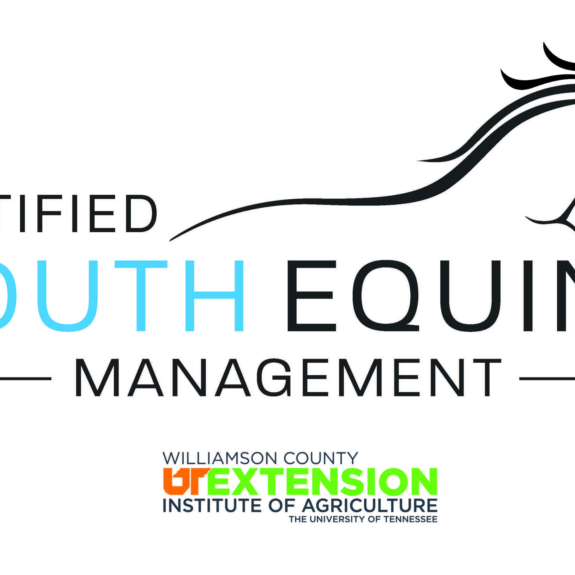 4 H Horse Williamson County